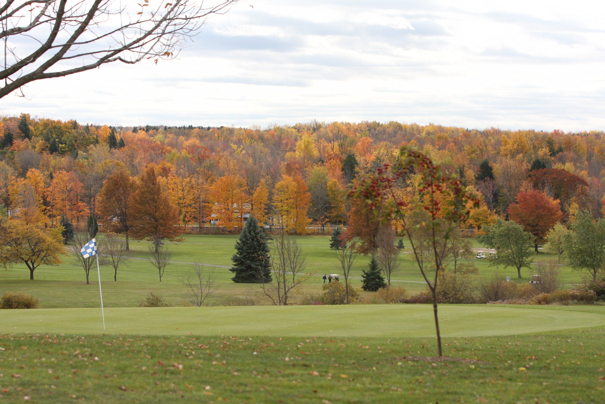Moog Golf League – Chestnut Hill Country Club Web Store